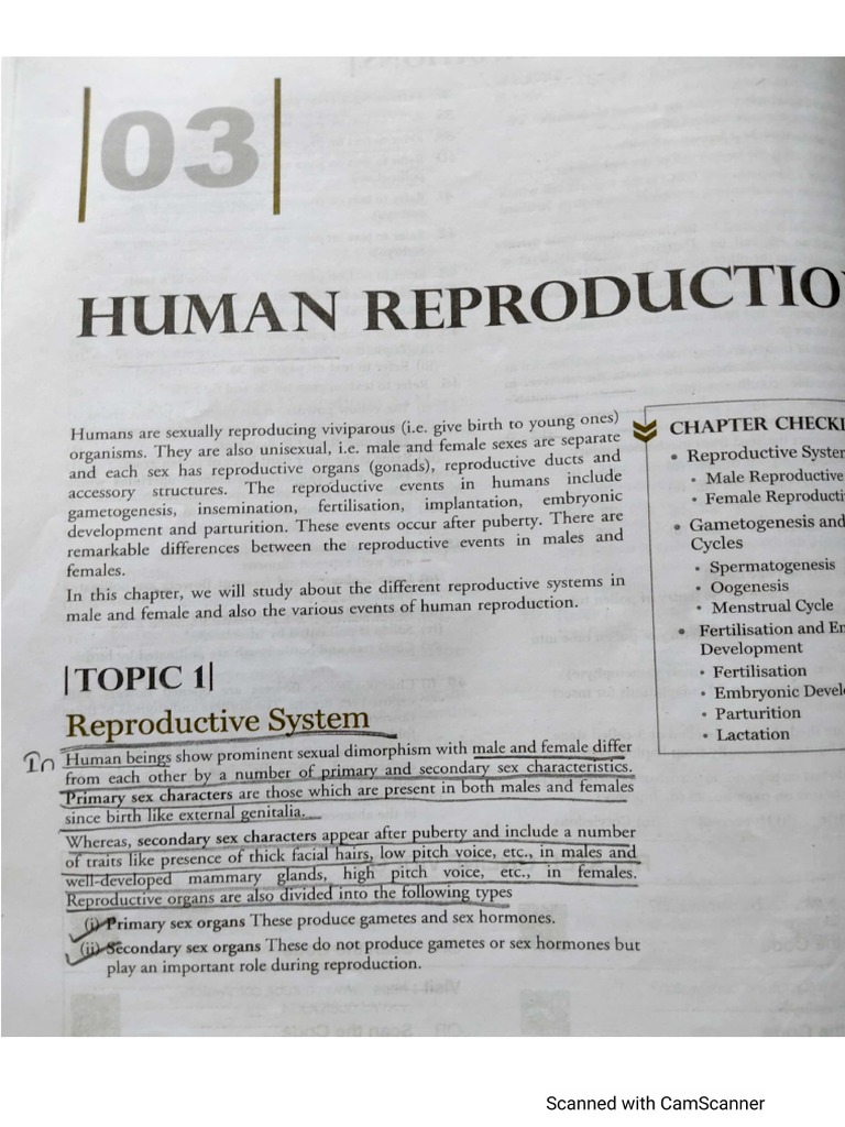 Human Reproduction 12th | PDF