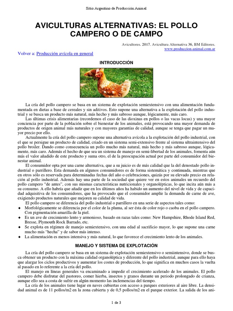 182 Pollo Campero | PDF | Carne | Pollo