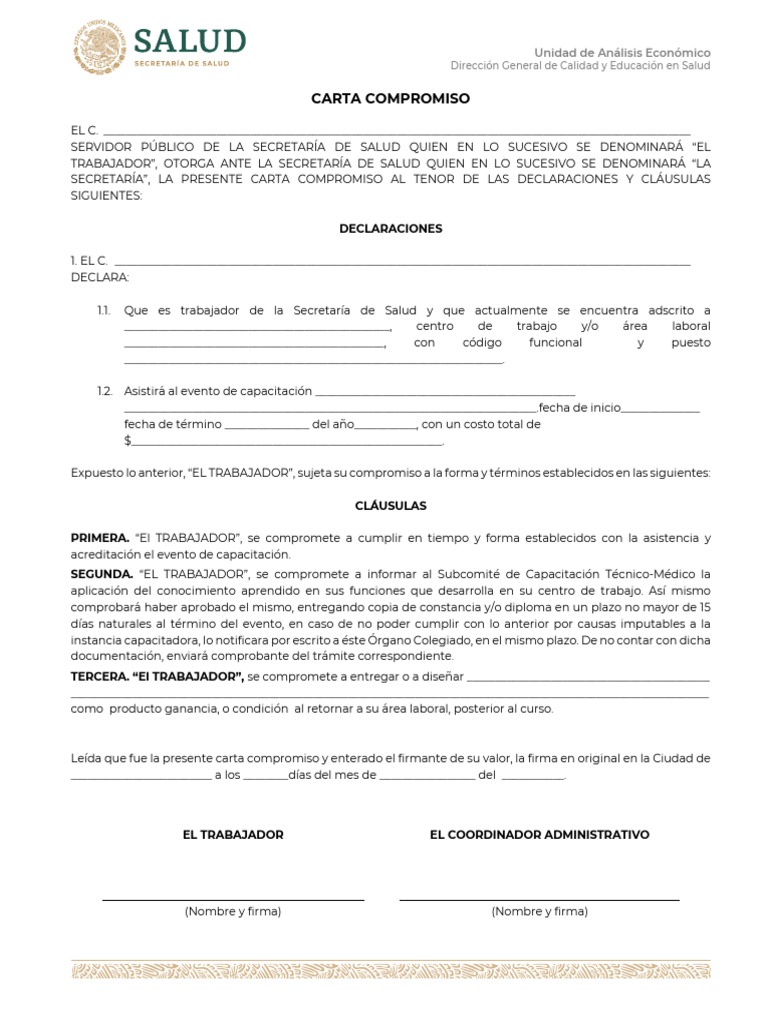SCTM Carta Compromiso | PDF