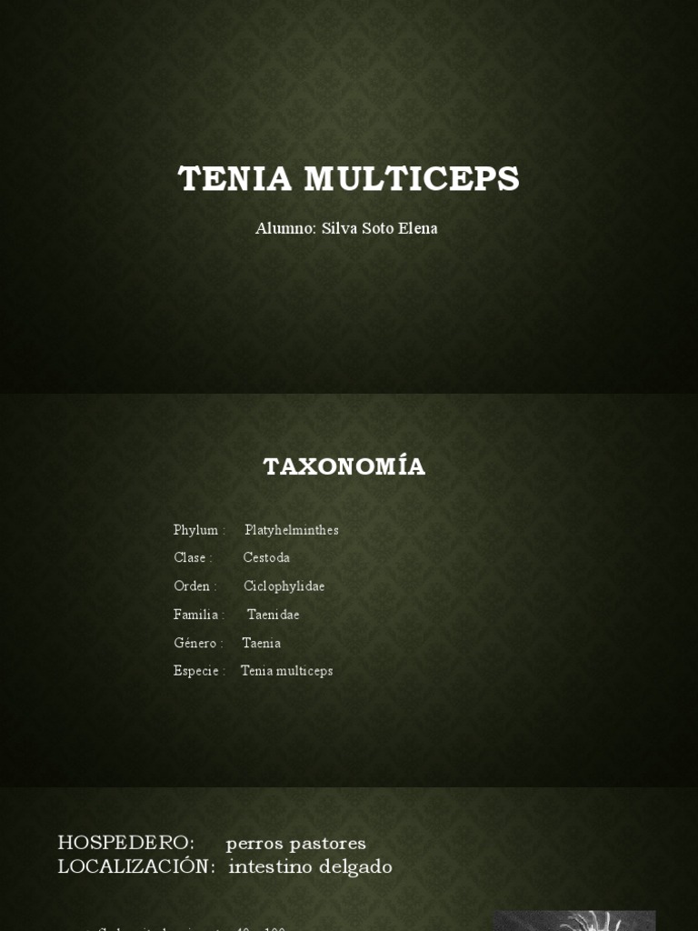 Tenia Multiceps: Ciclo y Tratamiento | PDF | Ciencia y matemáticas