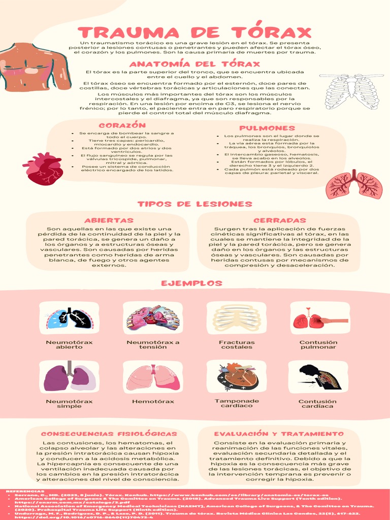 Infografía Trauma de Tórax | PDF | Pulmón | Tórax