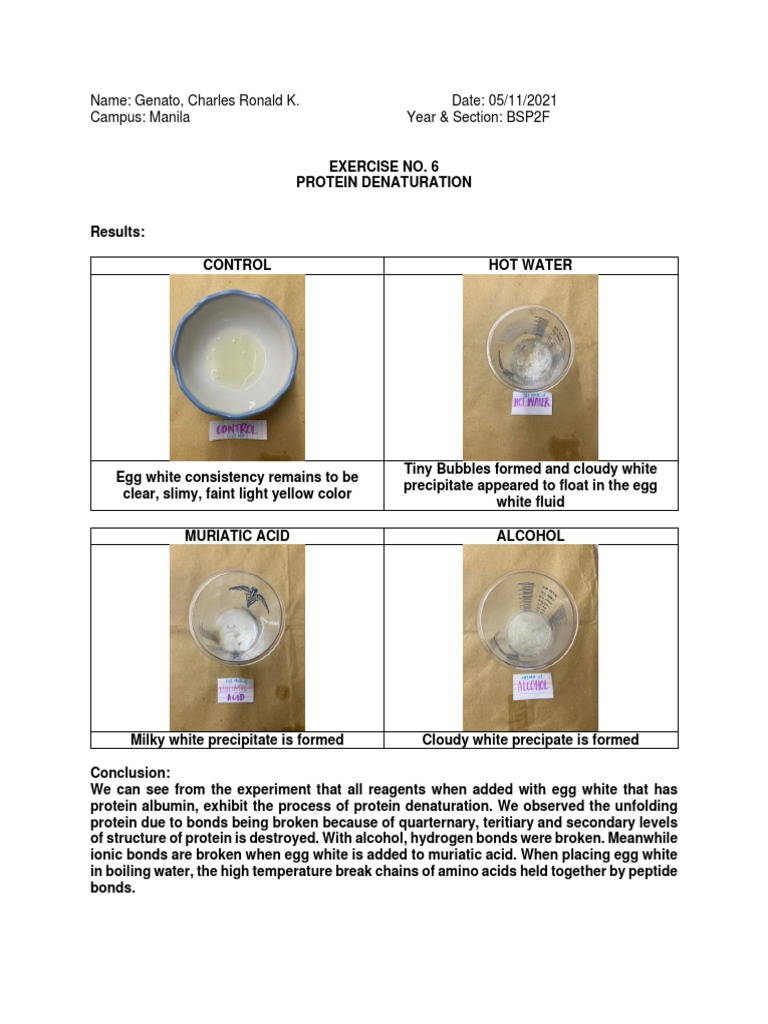 Genato - BSP2G123 - EXERCISE 6 - PROTEIN DENATURATION | PDF