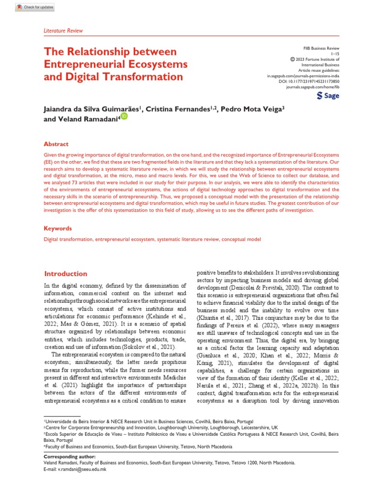 The Relationship Between Entrepreneurial Ecosystems and Digital ...