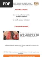 FRUTENZIMA: Usos y Beneficios Clínicos | PDF | Páncreas | Órgano (anatomía)