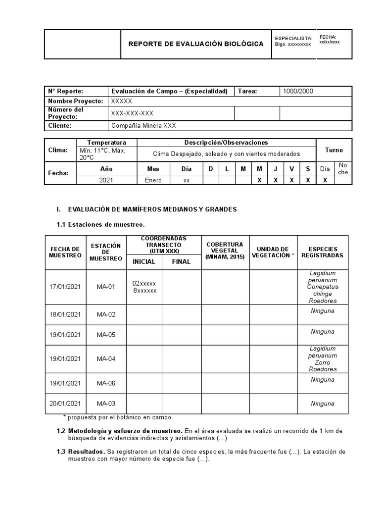 Formato de Reporte de Campo | PDF