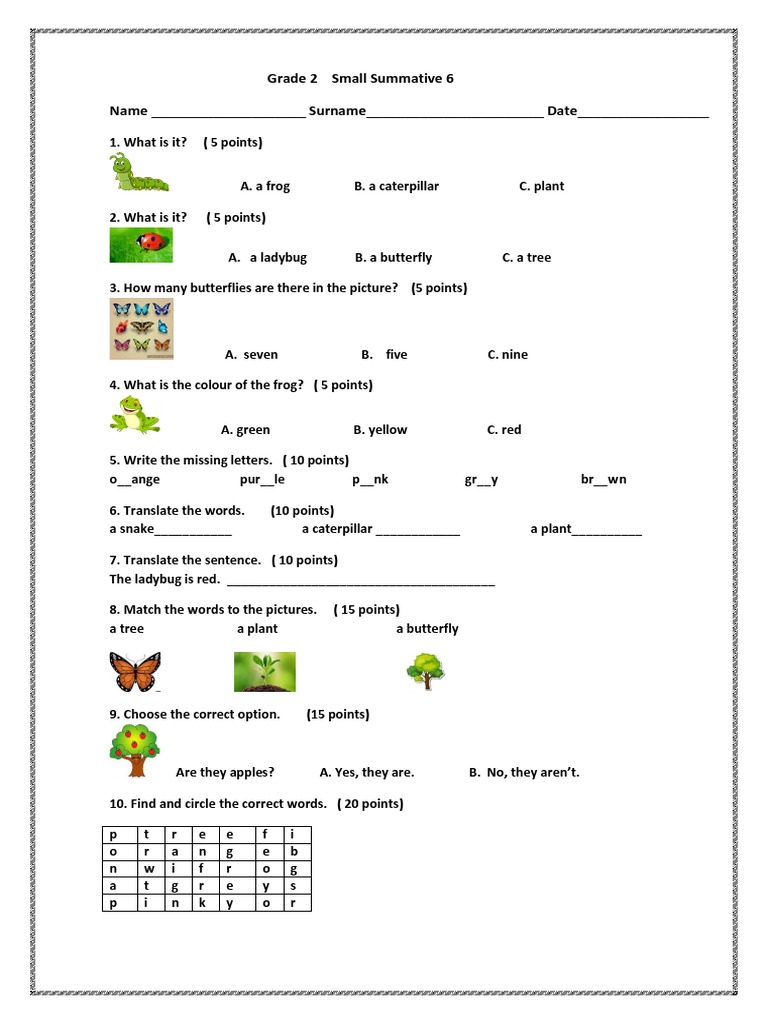 Grade 2 Small Summative 6 (Gulshan Anar) | PDF