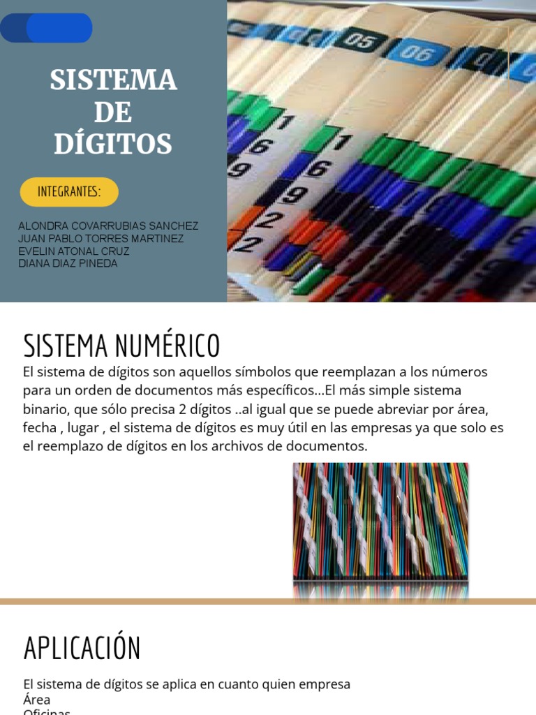 Sistema de Digitos. | PDF | Informática