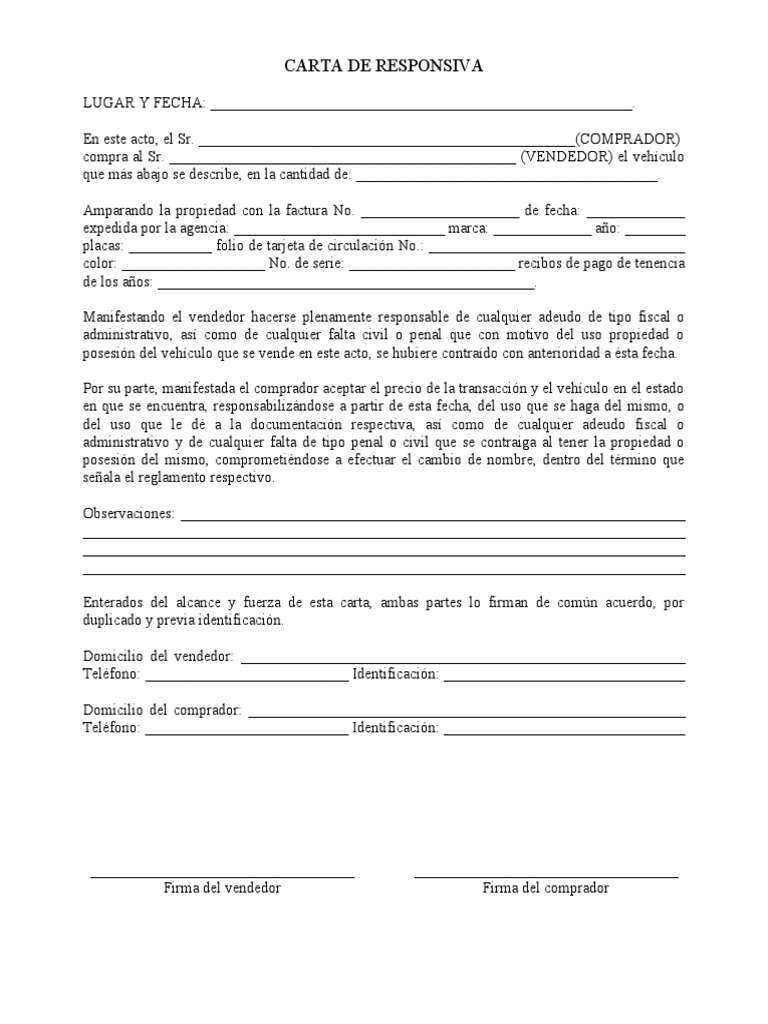 Carta de Responsiva | PDF