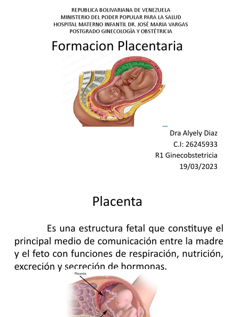 Formación y funciones de la placenta | PDF | Placenta | Feto
