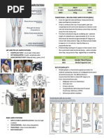 Transtibial Amputation Techniques Overview | PDF | Anatomical Terms Of ...