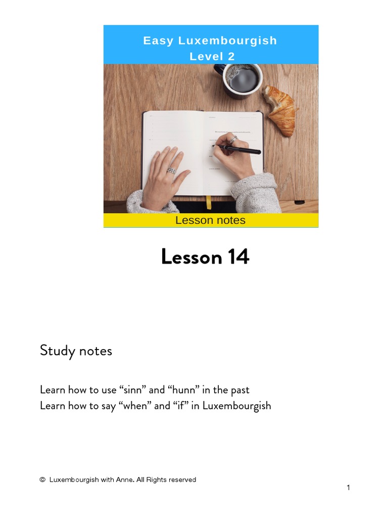 14 Study Notes Imperfect | PDF | Grammatical Tense | Syntax