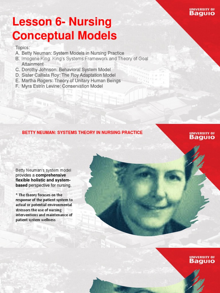 Nursing Models: Neuman's System Theory | PDF