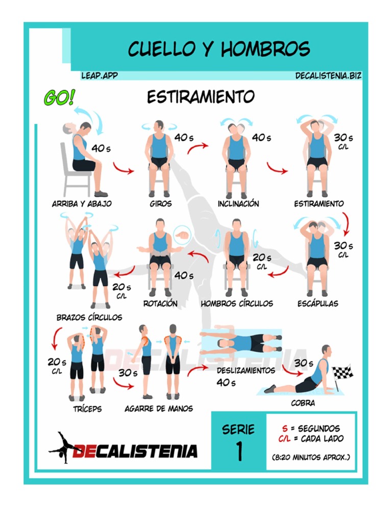 Estiramientos Cuello y Hombros | PDF