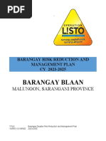 CapDev Template For Barangay | PDF | Health Care | Agriculture