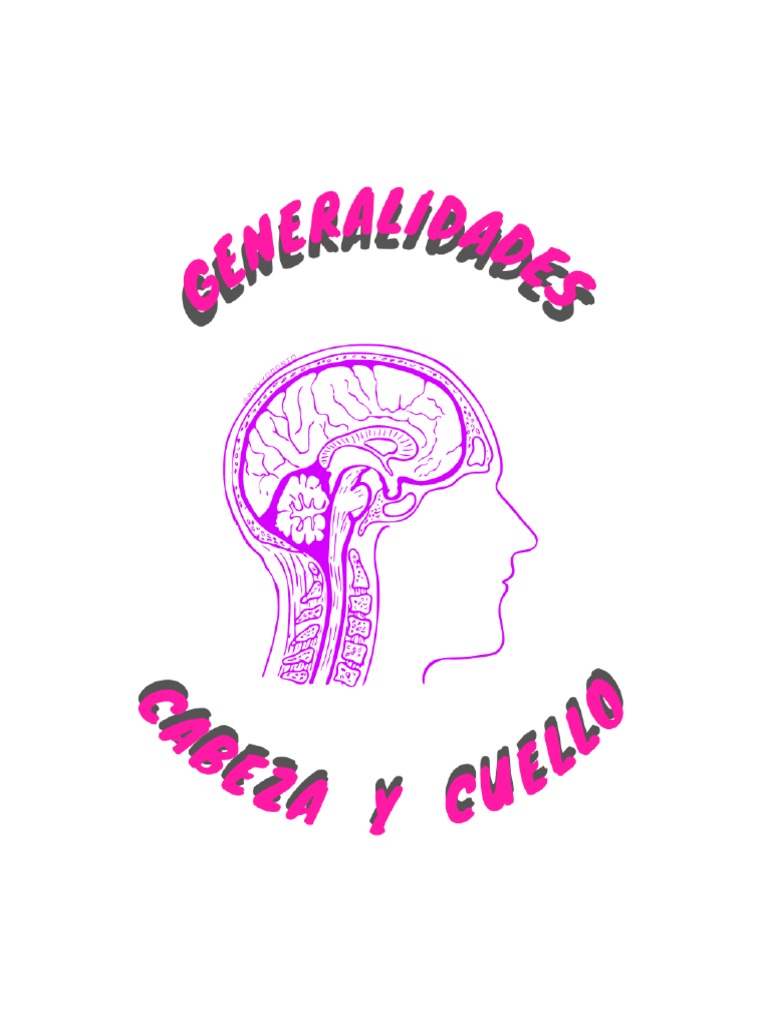 RESUMEN DE ANATO SOLEMNE CABEZA Y CUELLO - 3 Control | PDF | Cráneo | Ojo humano