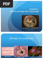 Ανατομία - Φυσιολογία ΕΠΑΛ 4ο κεφάλαιο | PDF
