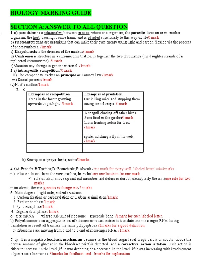 Biology Theory Marking Guide District | PDF | Meiosis | Respiratory System