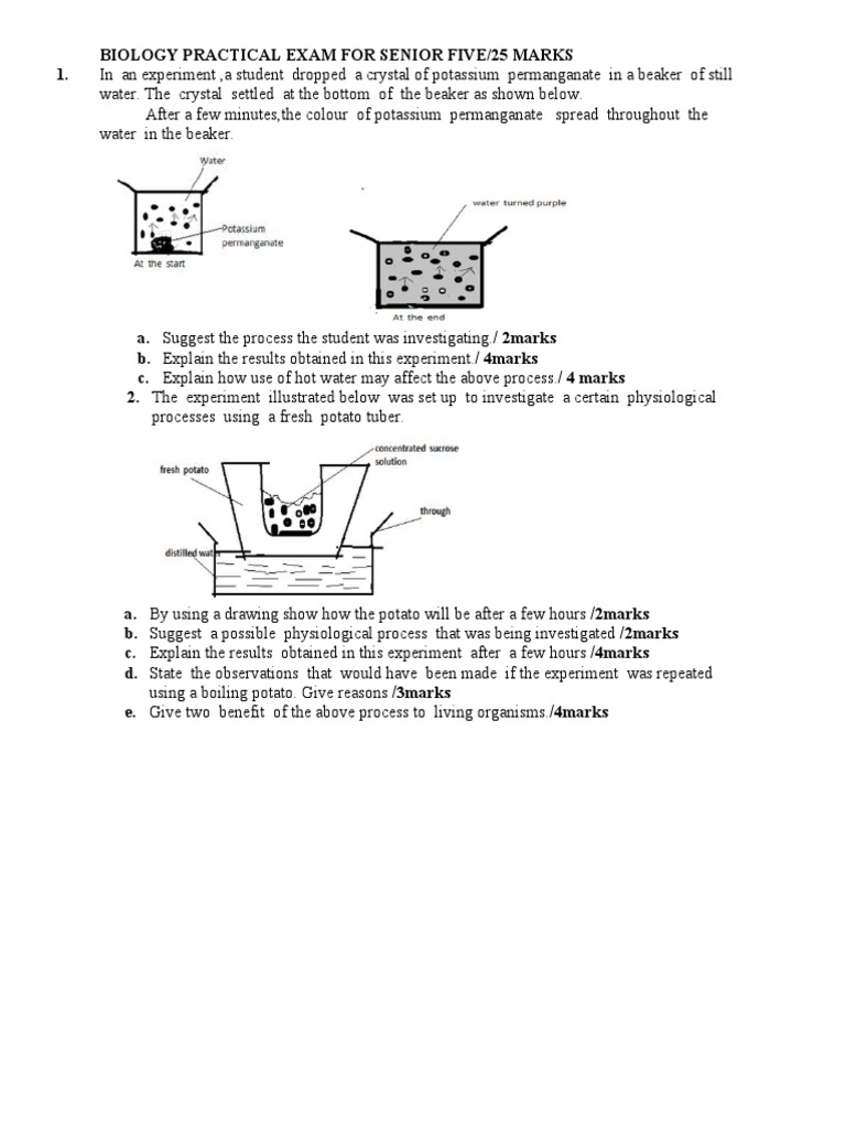 Biology Practical Exam Breakdown 25 Marks | PDF