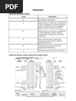 dynamic-gait-index | PDF | Horse Gait