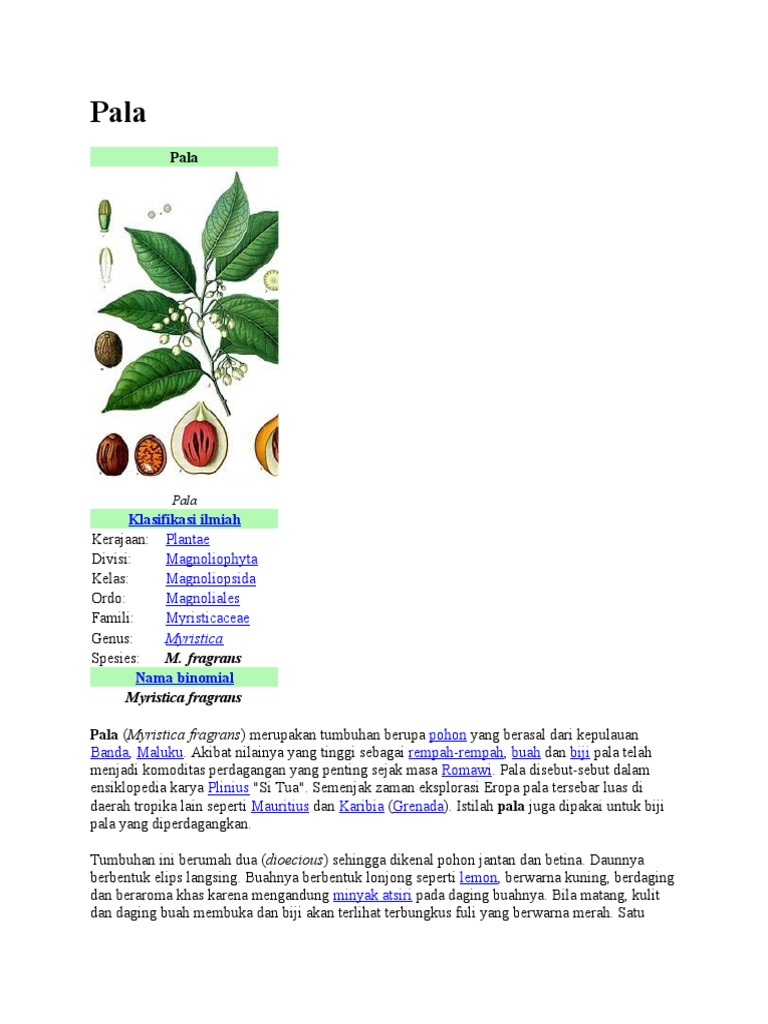 Pala | PDF | Teknologi & Rekayasa