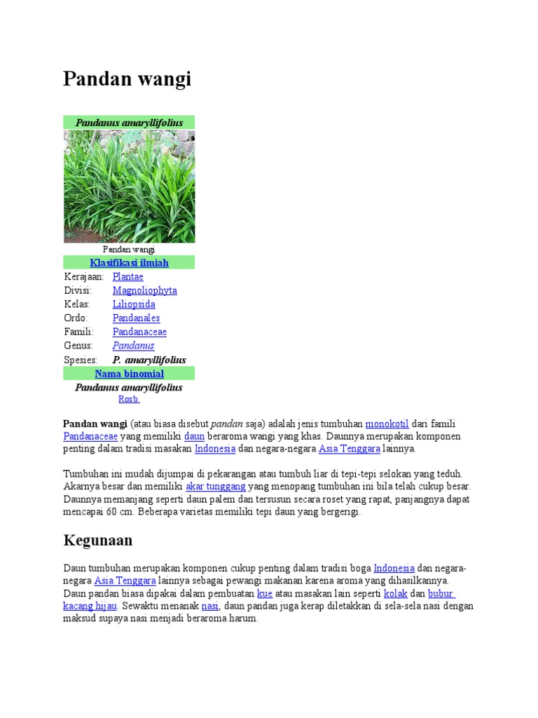 Pandan | PDF