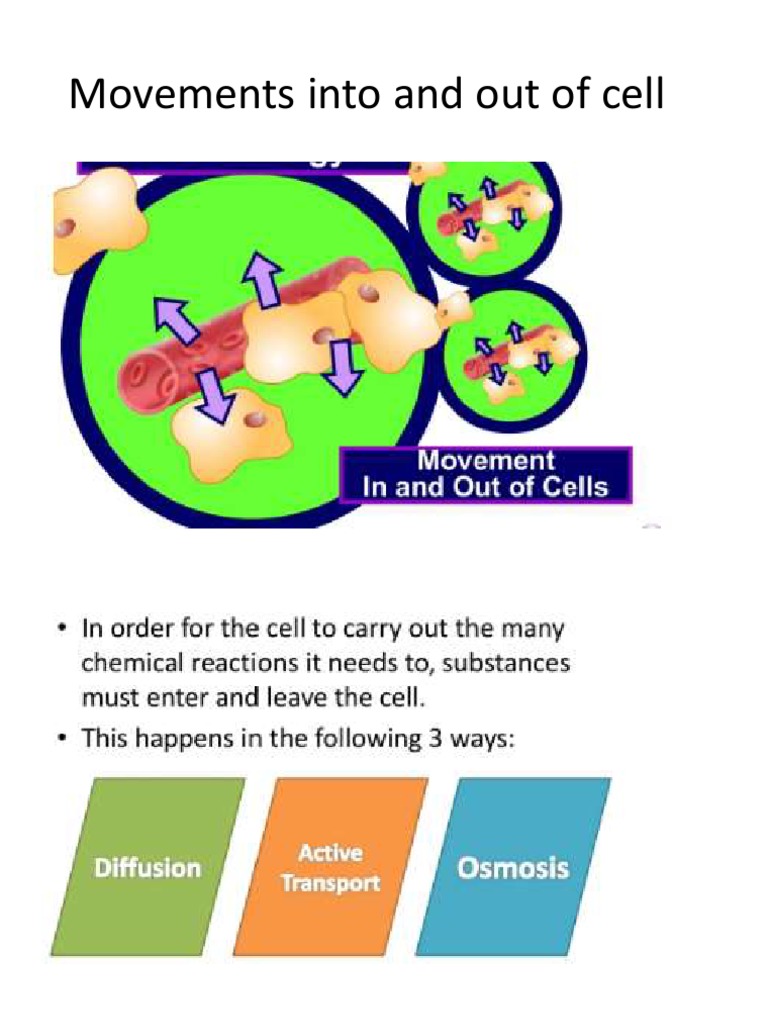 Chapter 3 - Movement Into and Out of the Cell | PDF