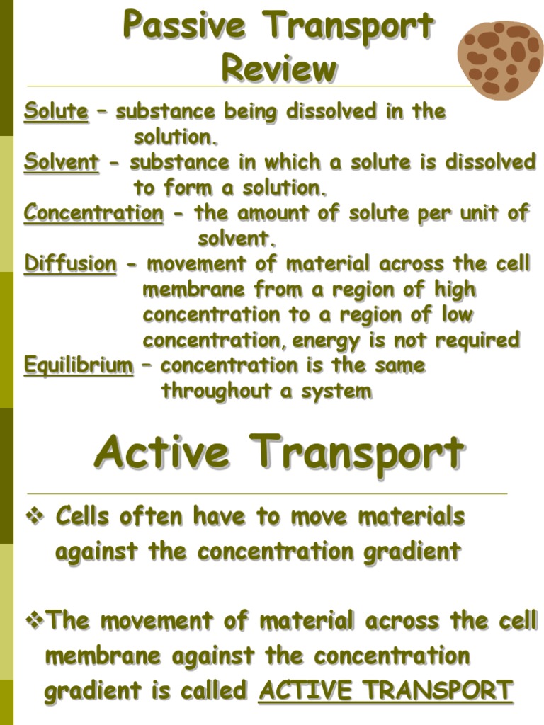 Chapter 3 - Movement Into and Out of The Cell - Active Transport | PDF ...