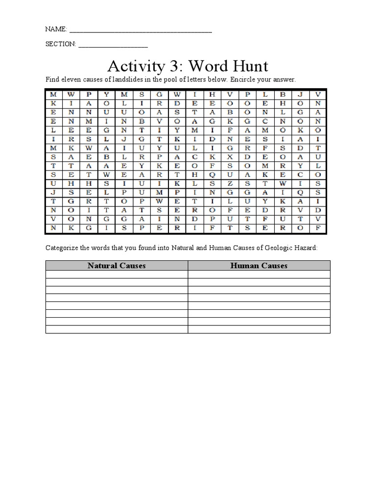 Activity 3 DRRR | PDF