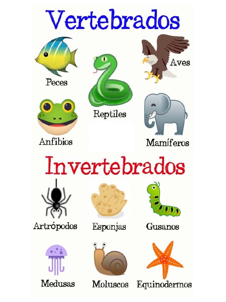 Animales Vertebrados e Invertebrados | PDF