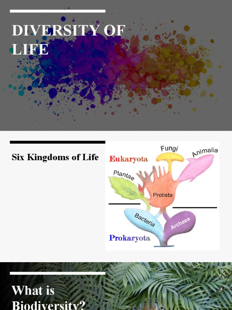 Diversity of Life | PDF | Taxonomy (Biology) | Species