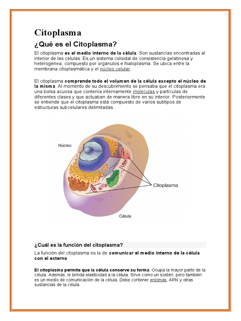 Citoplasma | PDF