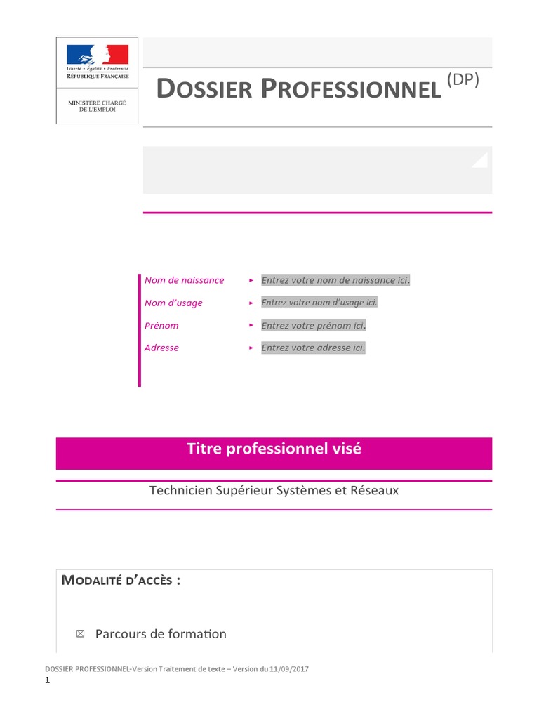 1-Dossier Professionnel TSSR | PDF | Évolution de carrière