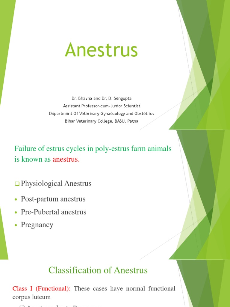 Lect 14 Anestrous | PDF | Mare | Clinical Medicine