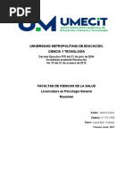 Ejemplo de Cuadro PNI Creativo | PDF | Crecimiento personal y profesional