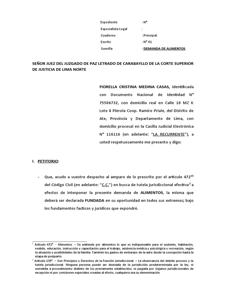 Demanda de Alimentos | PDF | Debido al proceso | Jurisdicción