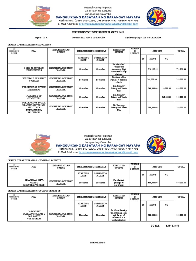 Supplemental Investment Plan | PDF | Youth | Youth Organizations