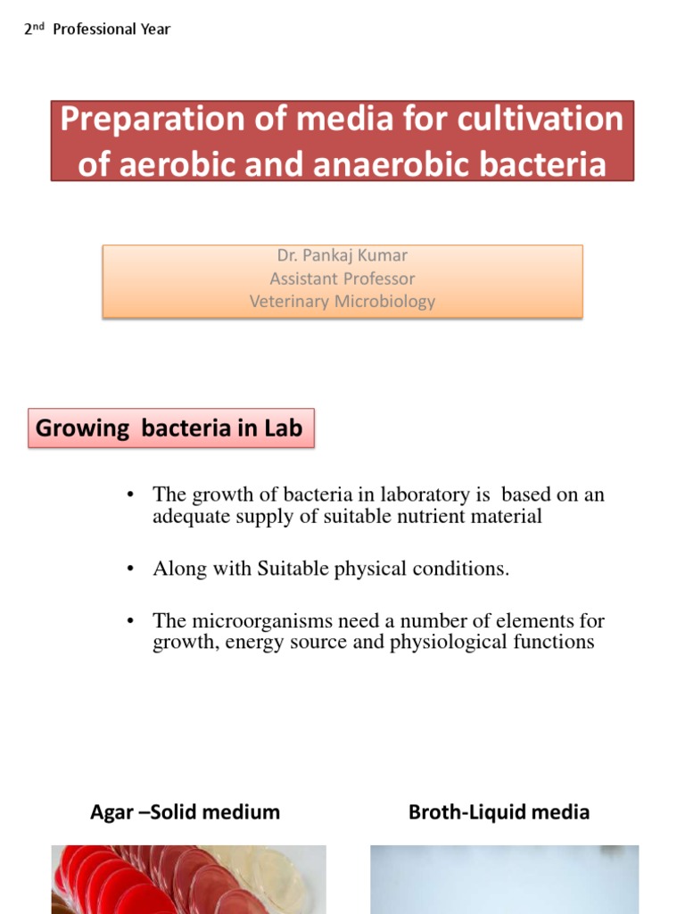 Preparation of Media For Aerobic and Anaerobic Bacteria | PDF | Growth ...