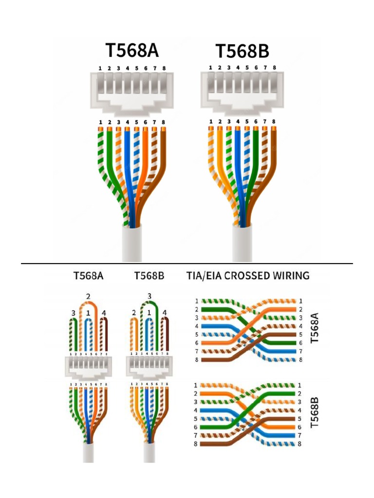 Modelos Armado de Cable UTP | PDF