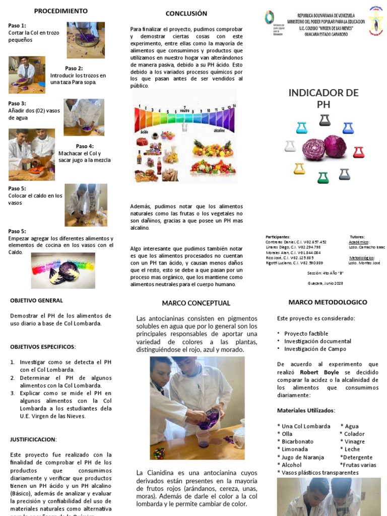 Triptico Luciano - 2023 | PDF | Alimentos | Ph