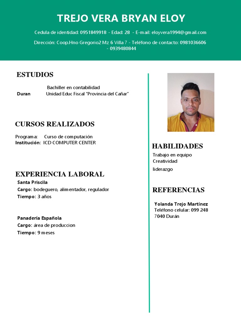 Hoja de Vida Bryan Trejo | PDF