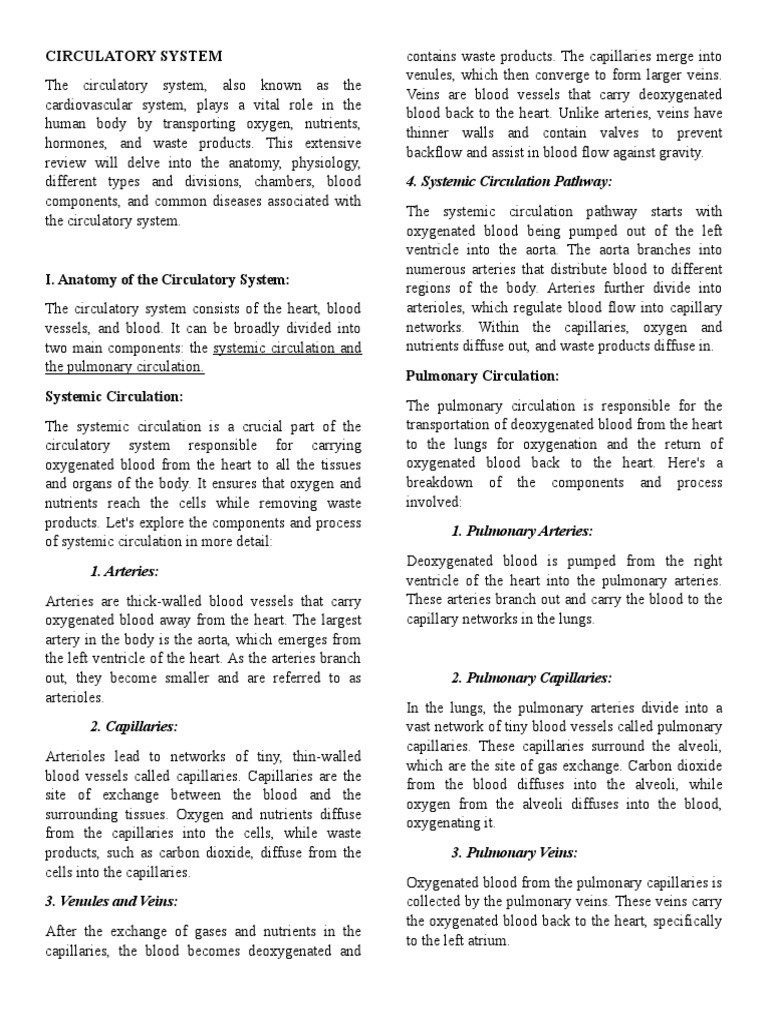 Circulatory System | Download Free PDF | Artery | Heart