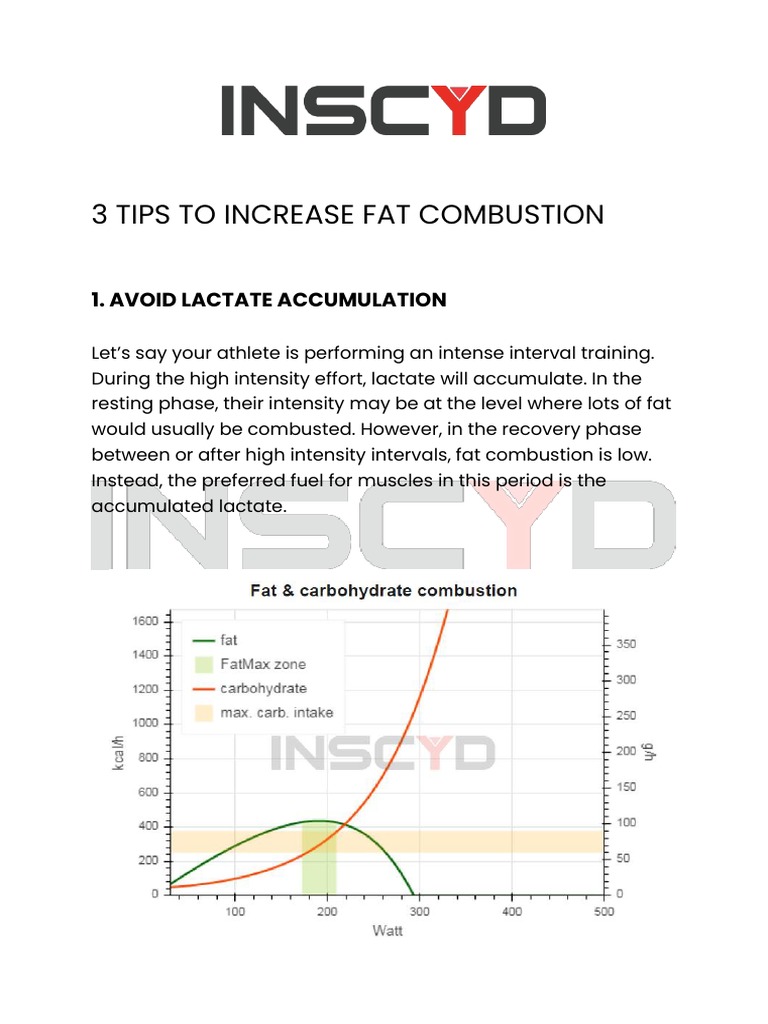 INSCYD Whitepaper FatMax 3 Tips For Higher Fat Combustion | PDF ...