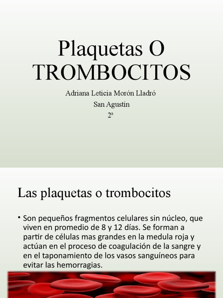 Plaquetas O TROMBOCITOS | PDF
