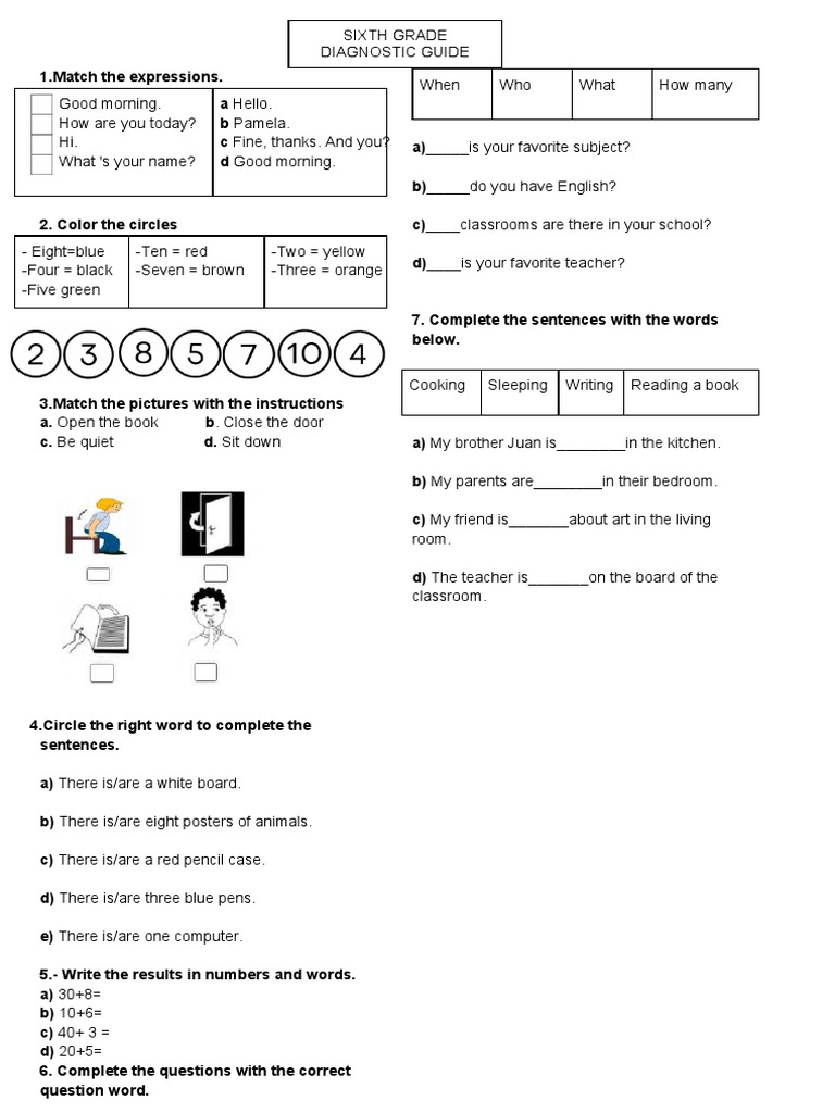Sixth Grade Diagnostic Guide | PDF