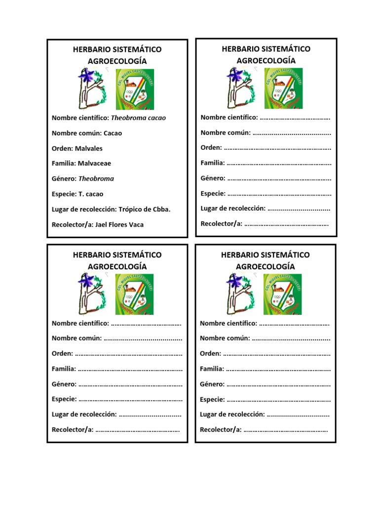 Ficha Herbario 5to | PDF