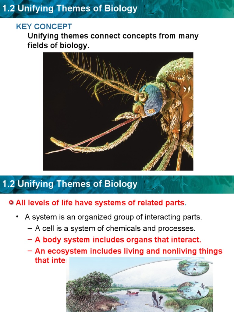 Unifying Themes of Biology | PDF