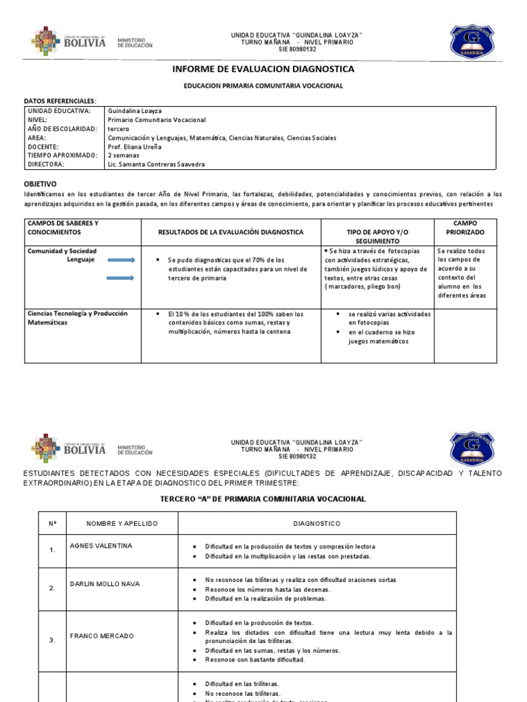 Informe diagnóstico tercer grado primaria | PDF | Educación primaria ...
