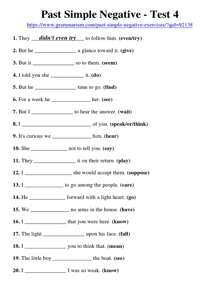Past Simple Negative Exercises Test 4 | PDF
