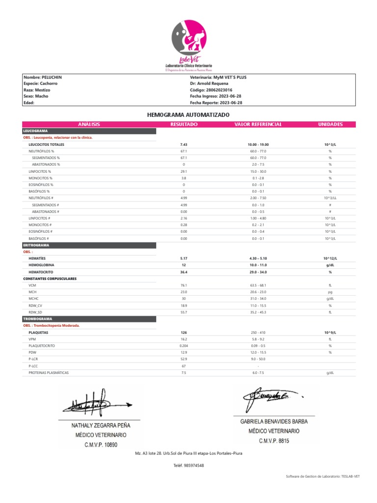Hemograma 1pdf Leucocito Sistema Inmune