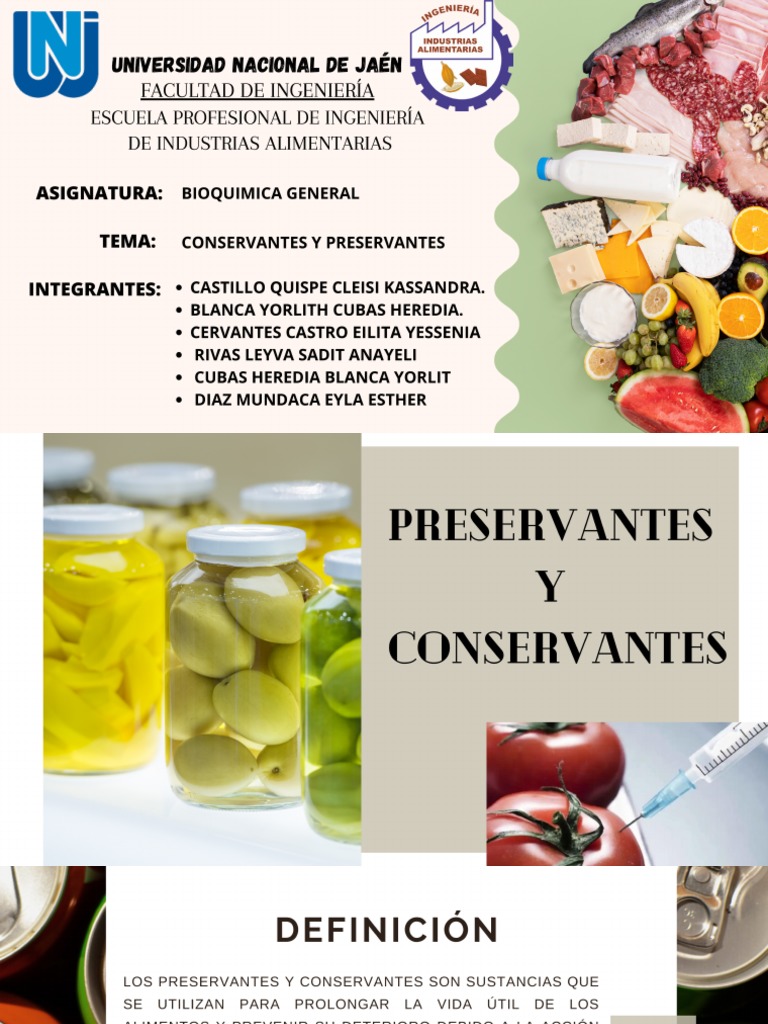 Preservantes y Conservantes | PDF